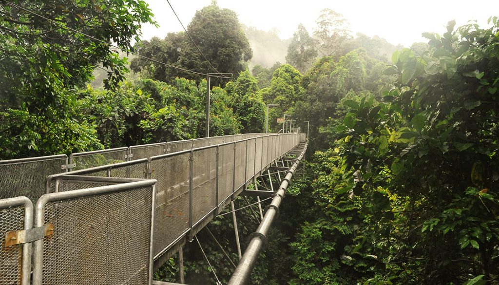 Sedim ‘Back to Nature’ - Discover Malaysia By Bicycle