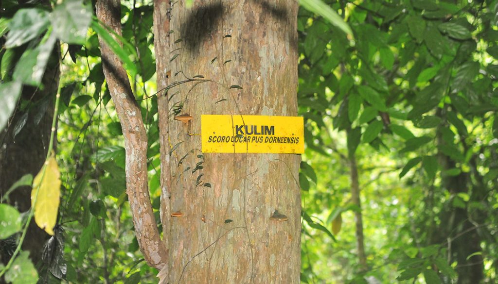 Sedim ‘Back to Nature’ - Discover Malaysia By Bicycle